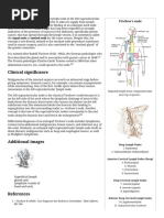 Halsted Principles | PDF