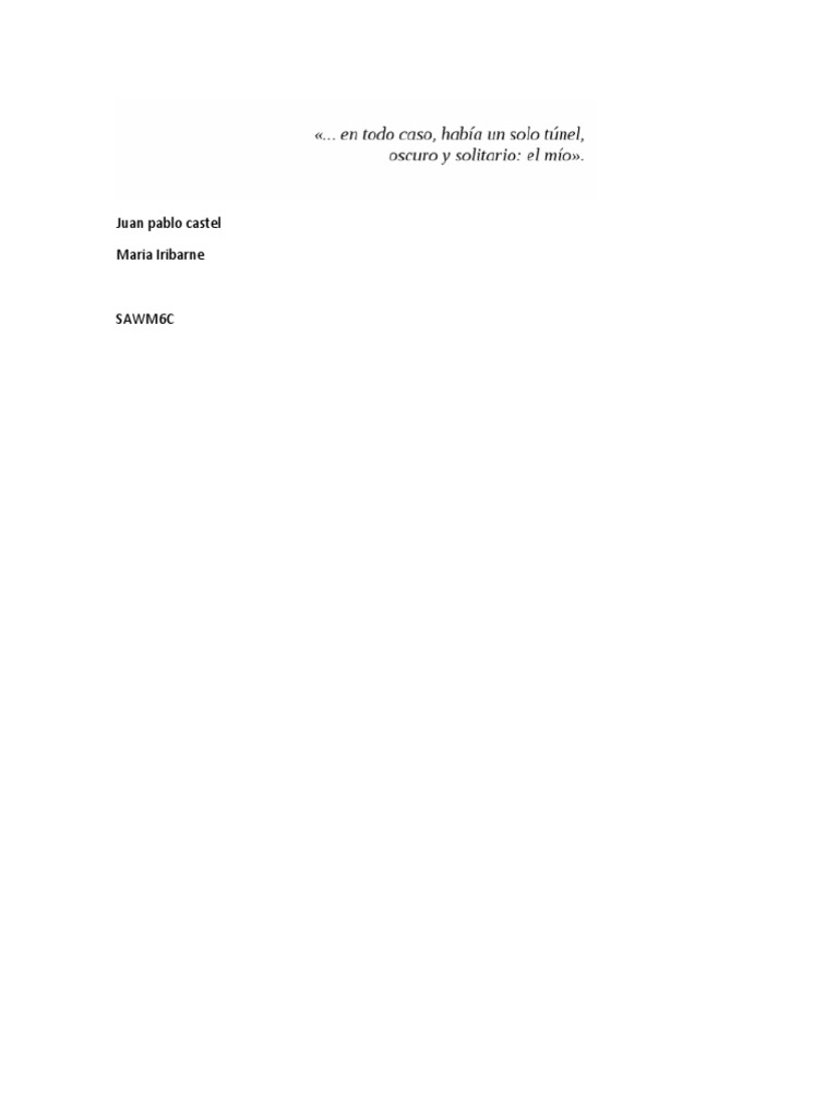 Juan Pablo Castel Maria Iribarne | PDF