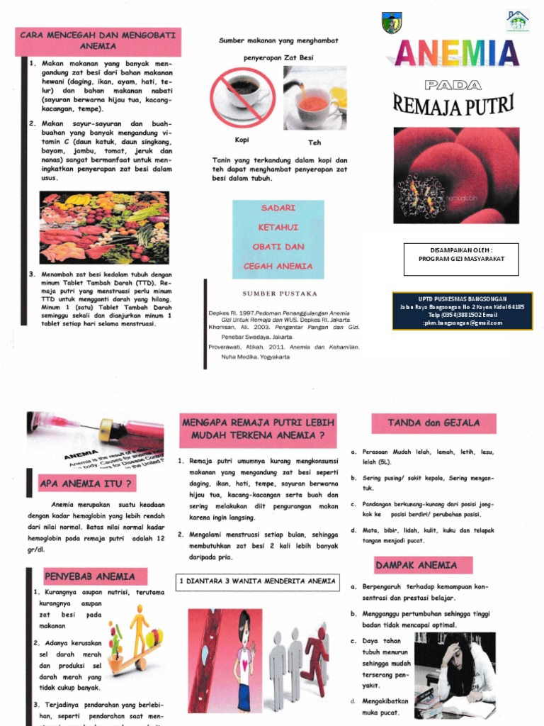 Leaflet Anemia Remaja 1 | PDF