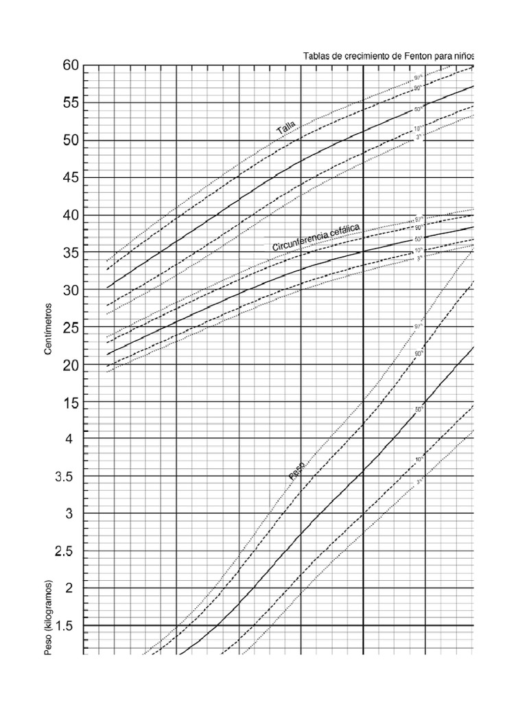 Escalas Fe Fenton | PDF