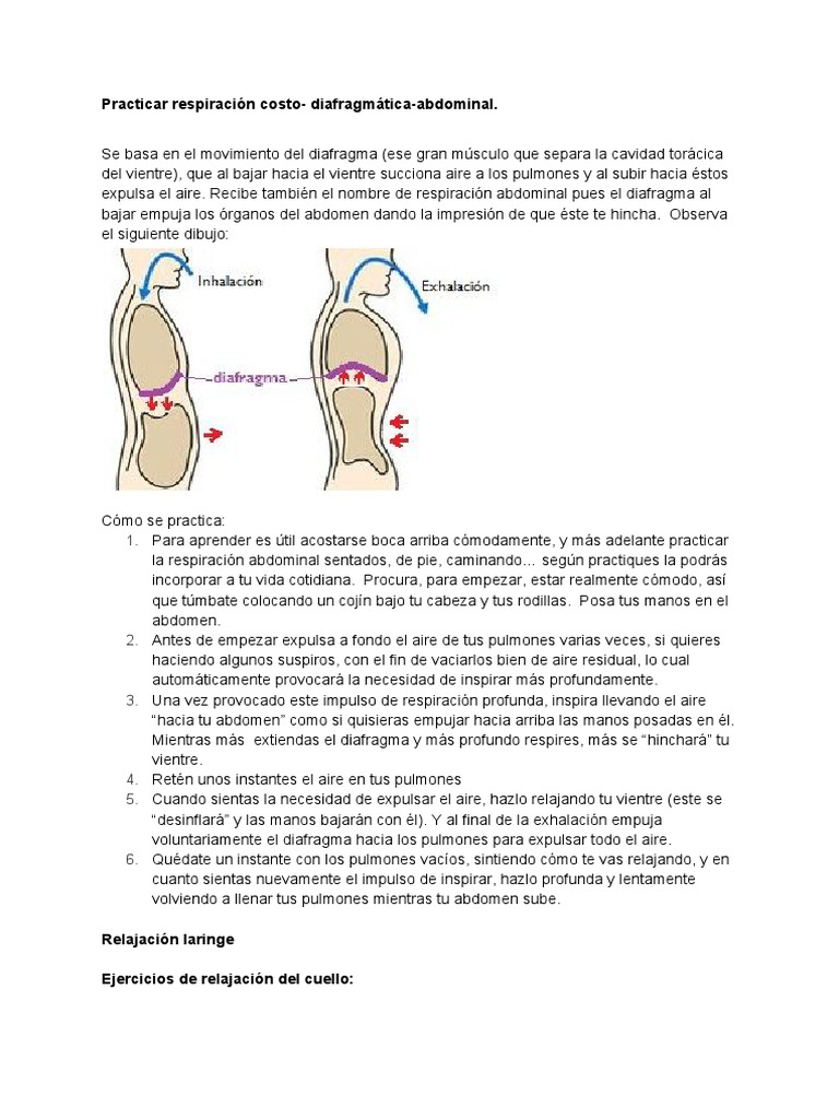 Ejercicios Básicos Para El Canto Pdf Abdomen Respiración