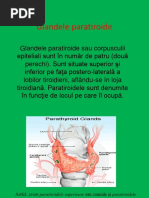 Nanism Hipofizar Si Tiroidian | PDF