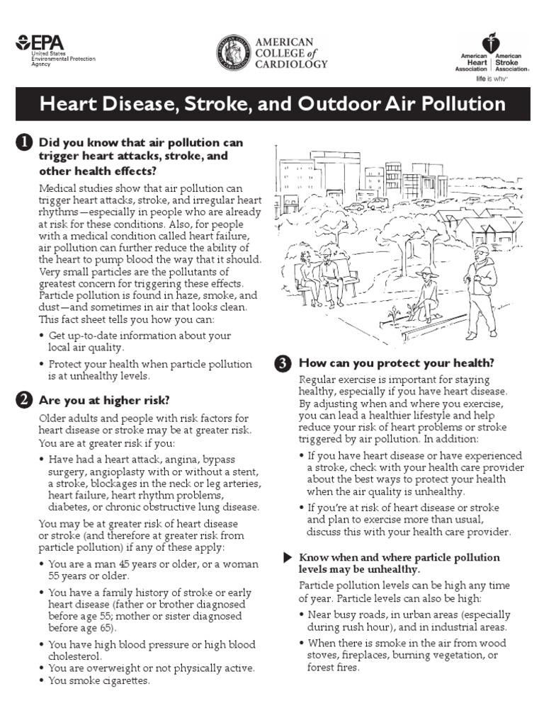 Heart Flyer | PDF | Cardiovascular Diseases | Air Pollution