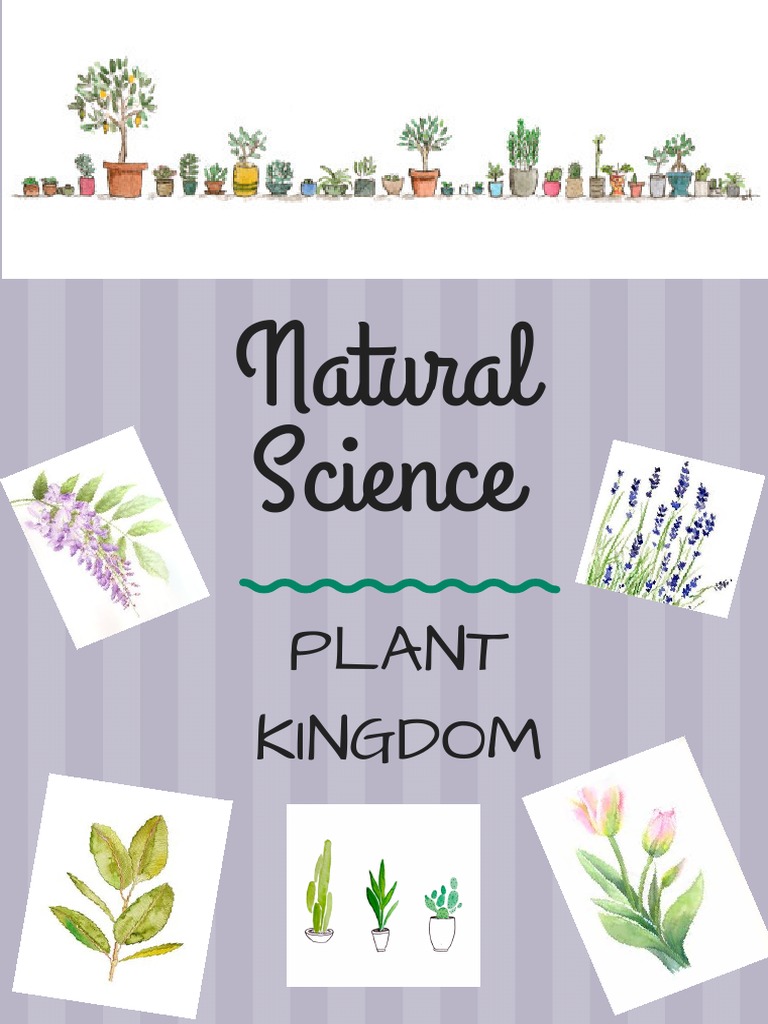 NaturalScience Unit2 | PDF