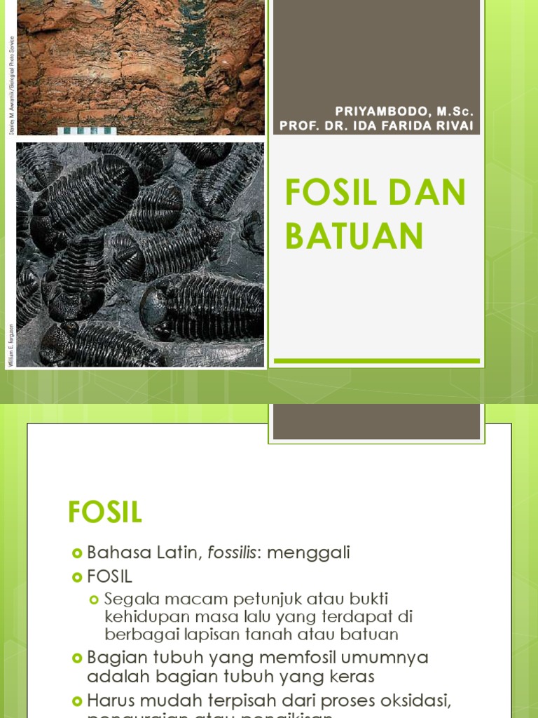 Fosil Dan Batuan | PDF