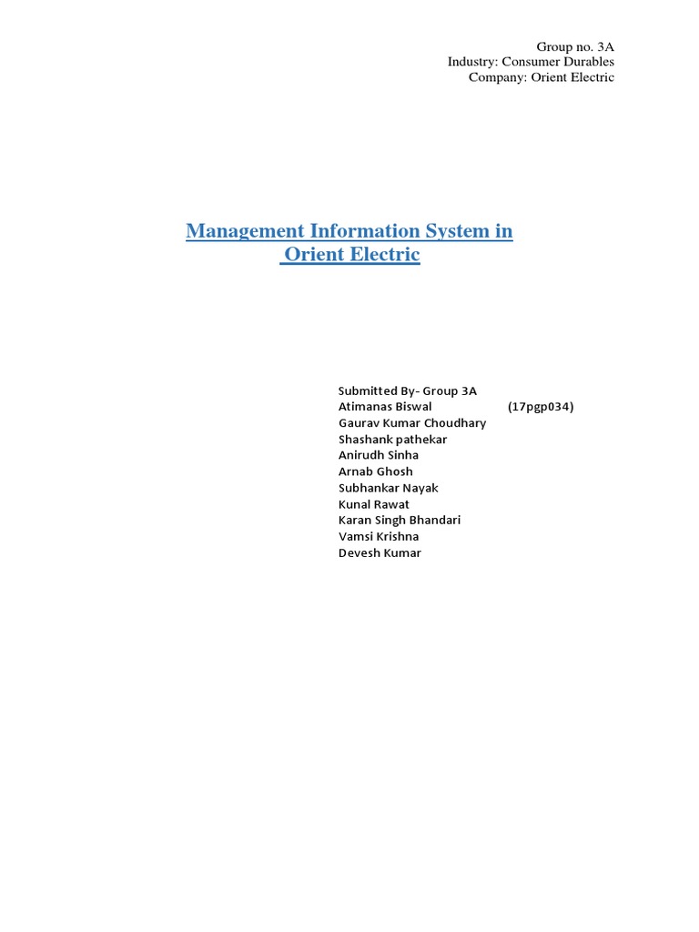 MIS Group Project 3A | PDF | Management Information System | Forecasting