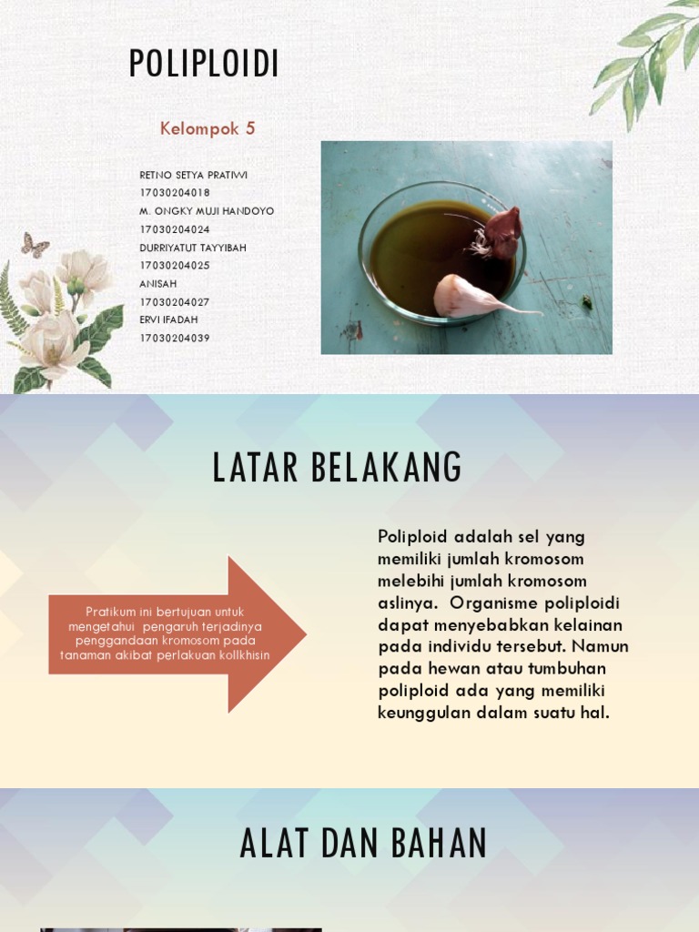 Poliploidi | PDF | Sains & Matematika