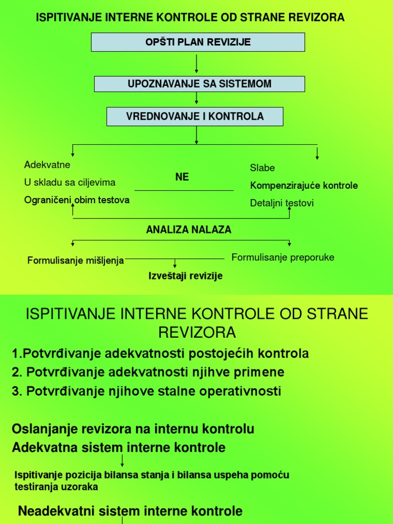 Revizija Interne Kontrole | PDF