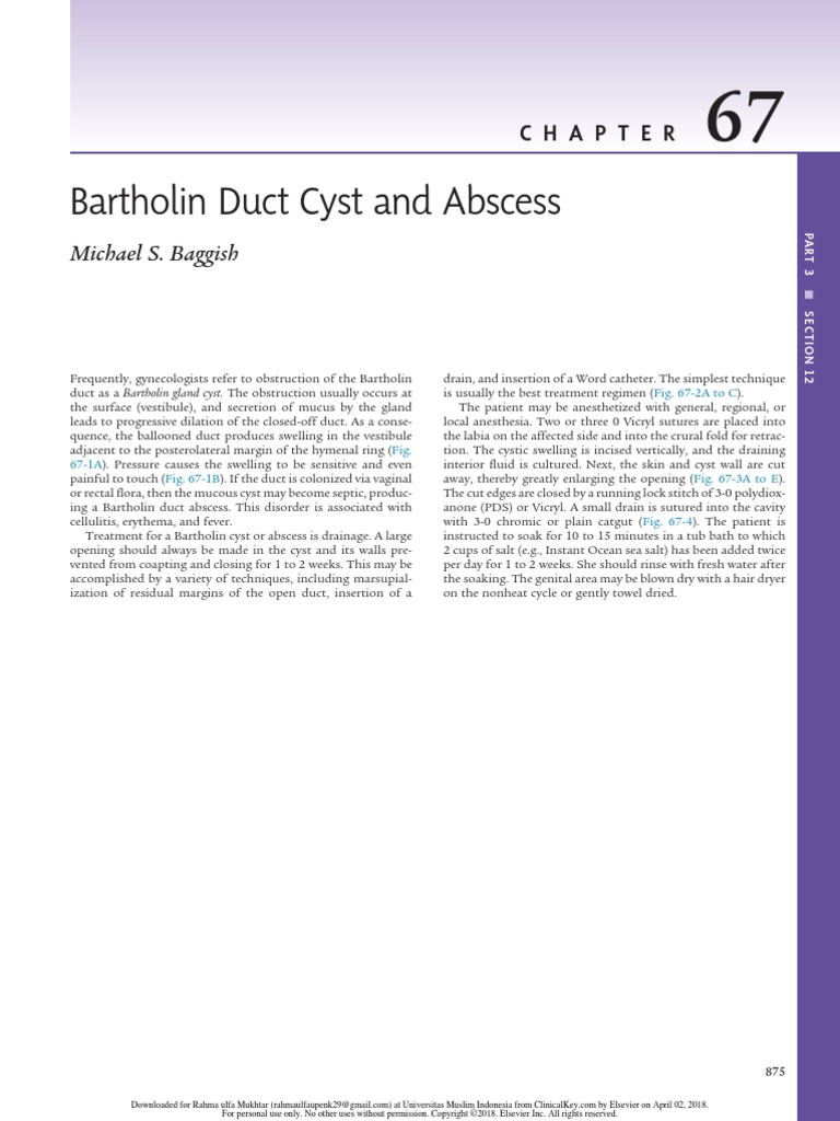 Bartholin Duct Cyst and Abscess: Michael S. Baggish | PDF | Medical ...