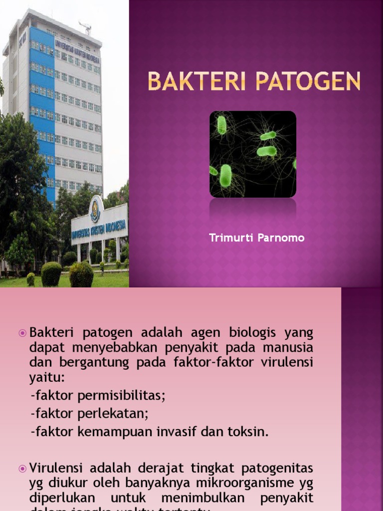 Patogen Invasif dan Penyebab Infeksi | PDF