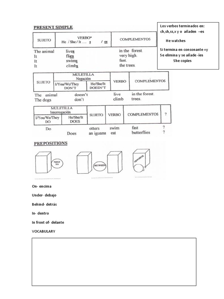 Present Simple Esquema | PDF