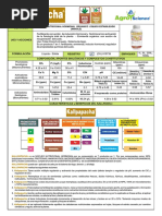 Folleto Florastart LQ | PDF | Flores | Botánica