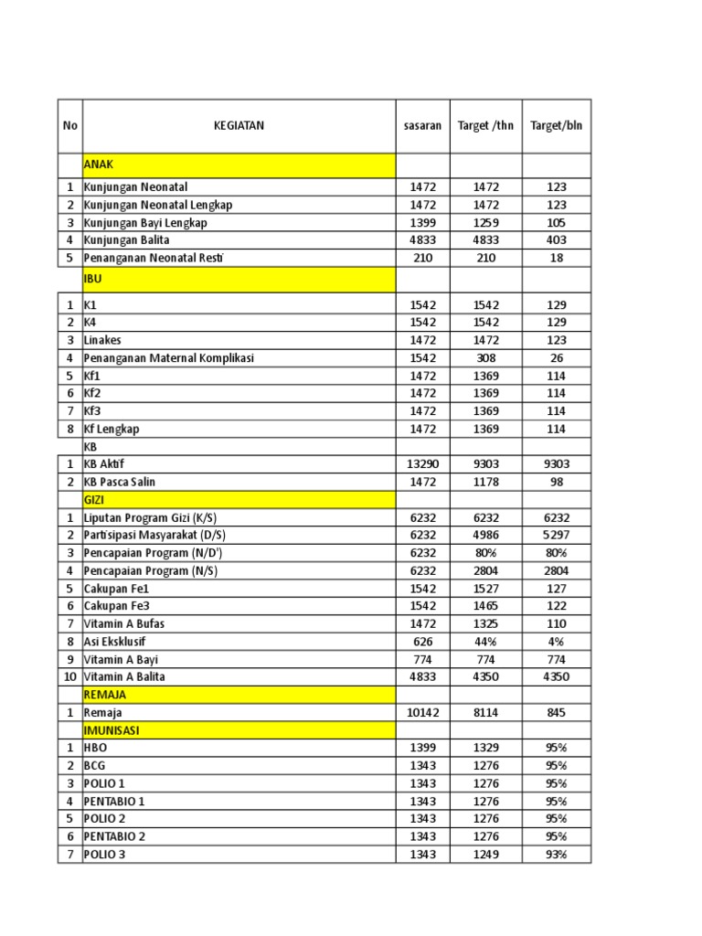 Cakupan Program New 2017 | PDF