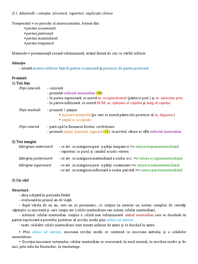 II.1. Mastoidă | PDF