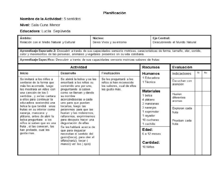 Modelo de Planificación Microclase | PDF