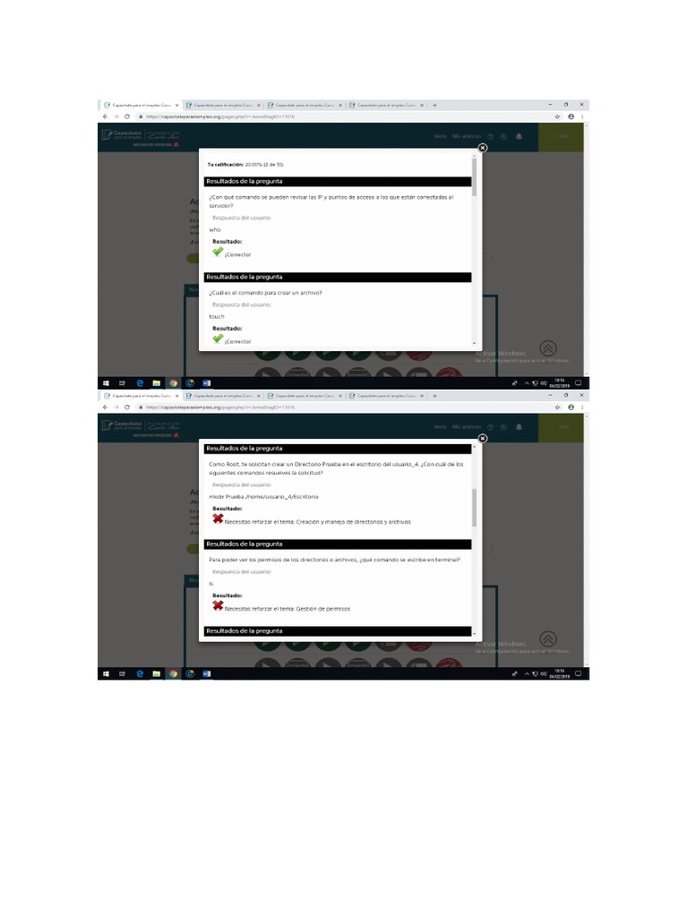 Resultados de La Pregunta | PDF | Archivo de computadora | Software utilitario