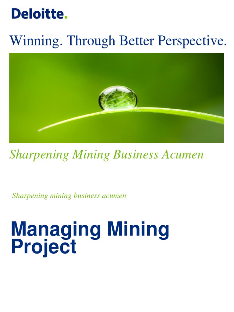 Managing Mining Capital Projects | PDF | Mining | Risk