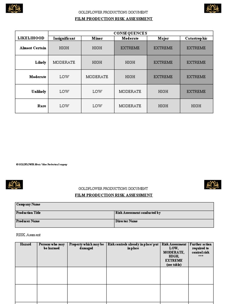 Film Production Risk Assessment Form - Blank | PDF | Risk Assessment | Risk
