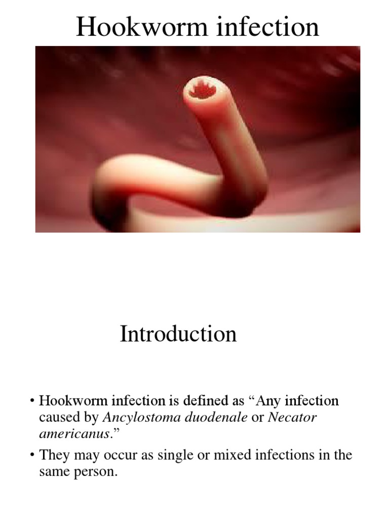 Hookworm | PDF | Diseases And Disorders | Medical Specialties