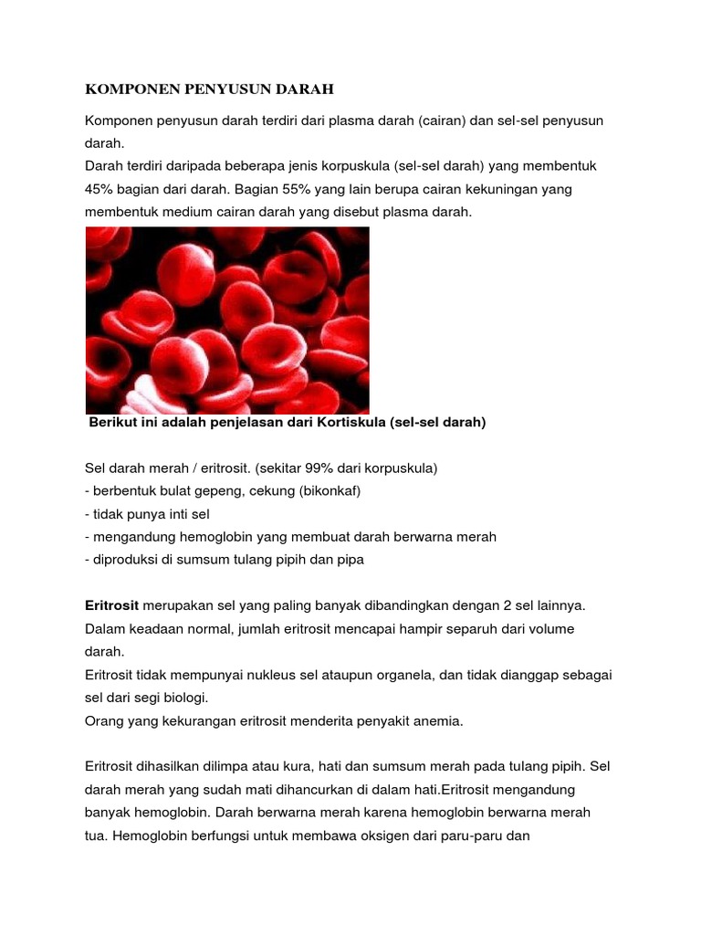 Komponen Penyusun Darah | PDF
