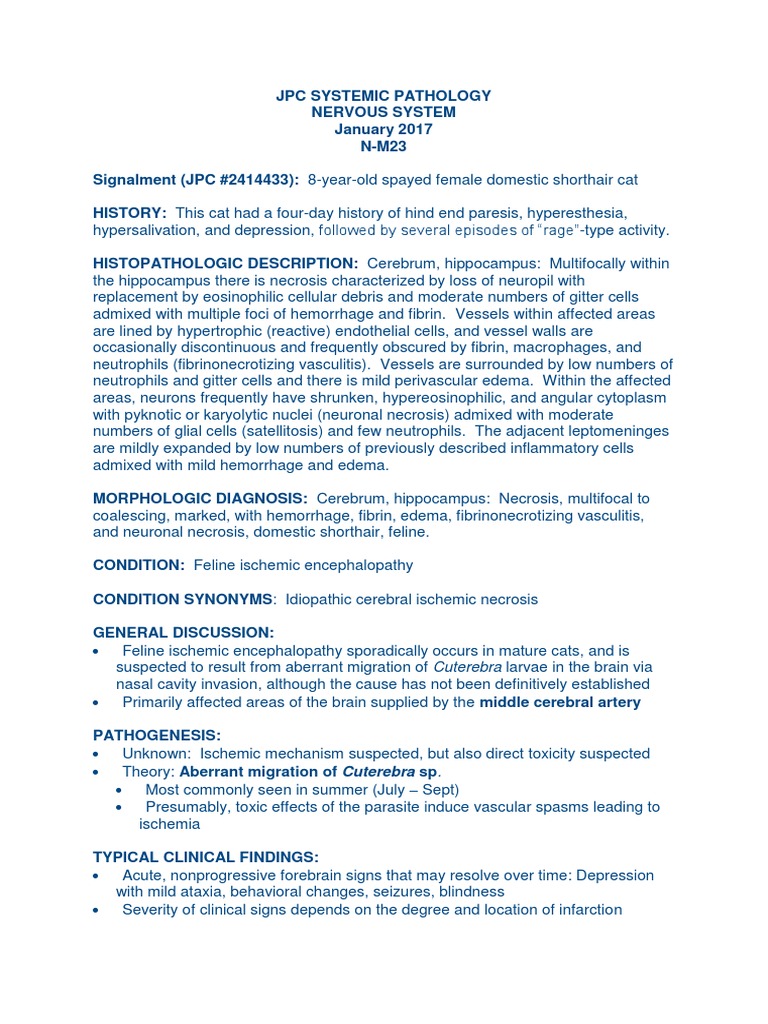 Systemic Pathology | PDF | Monocyte | Medical Specialties