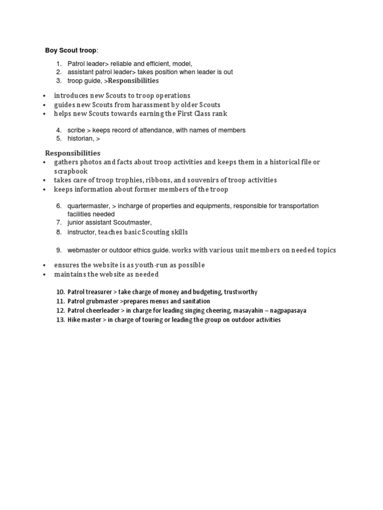 BSP Positions and Responsibilities | PDF