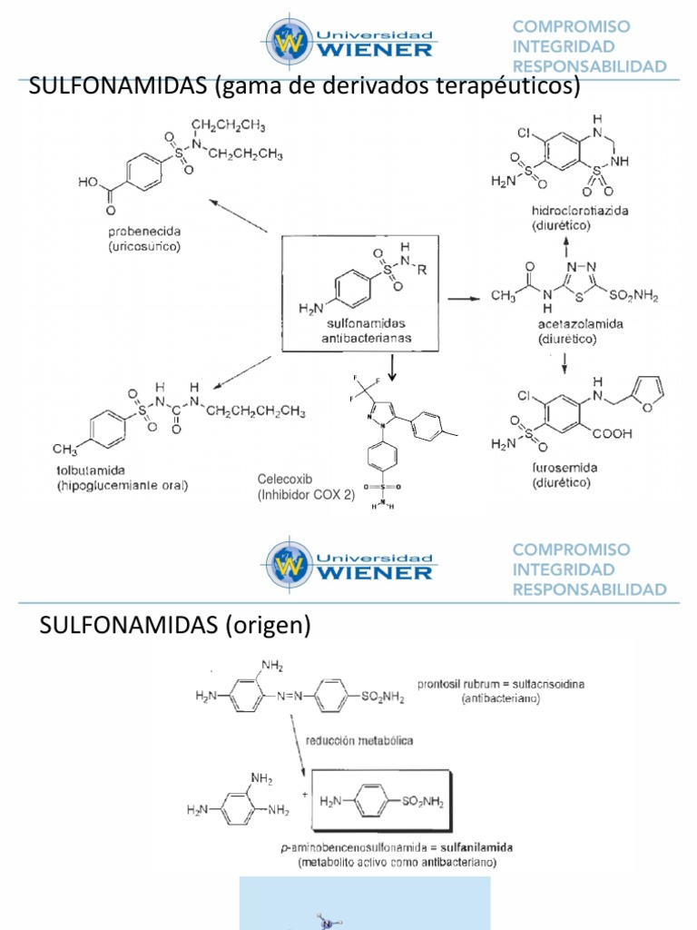 008 SULFONAMIDAS y DERIVADOS-1 | PDF