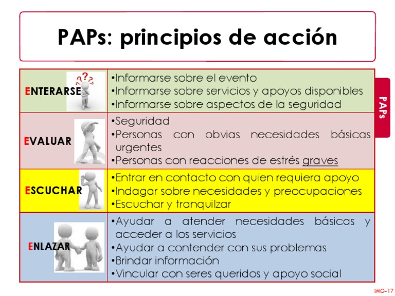 PAPs Principios | PDF