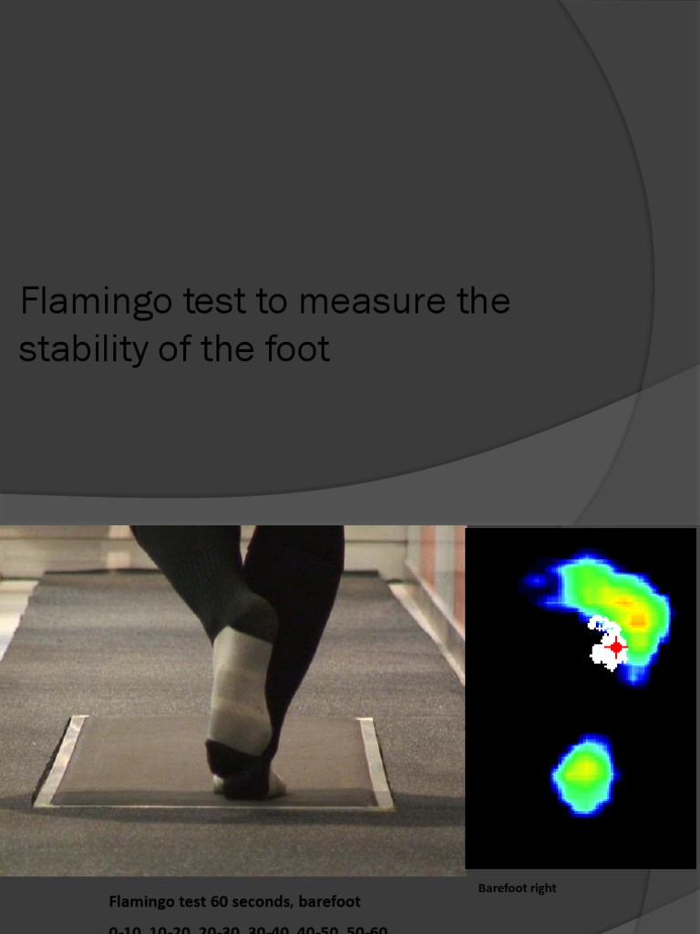Flamingo Test To Measure The Stability of The Foot | PDF