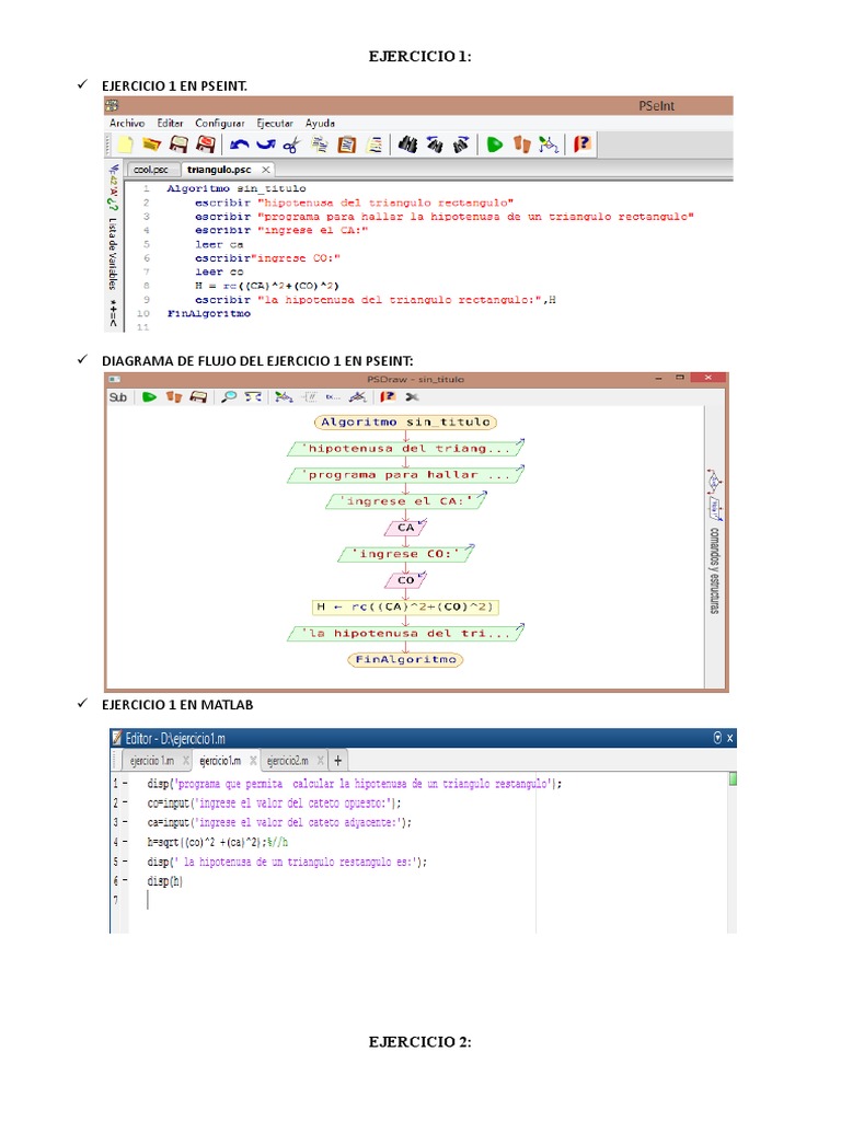 Ejercicios Pseint y MATLAB Explicados | PDF