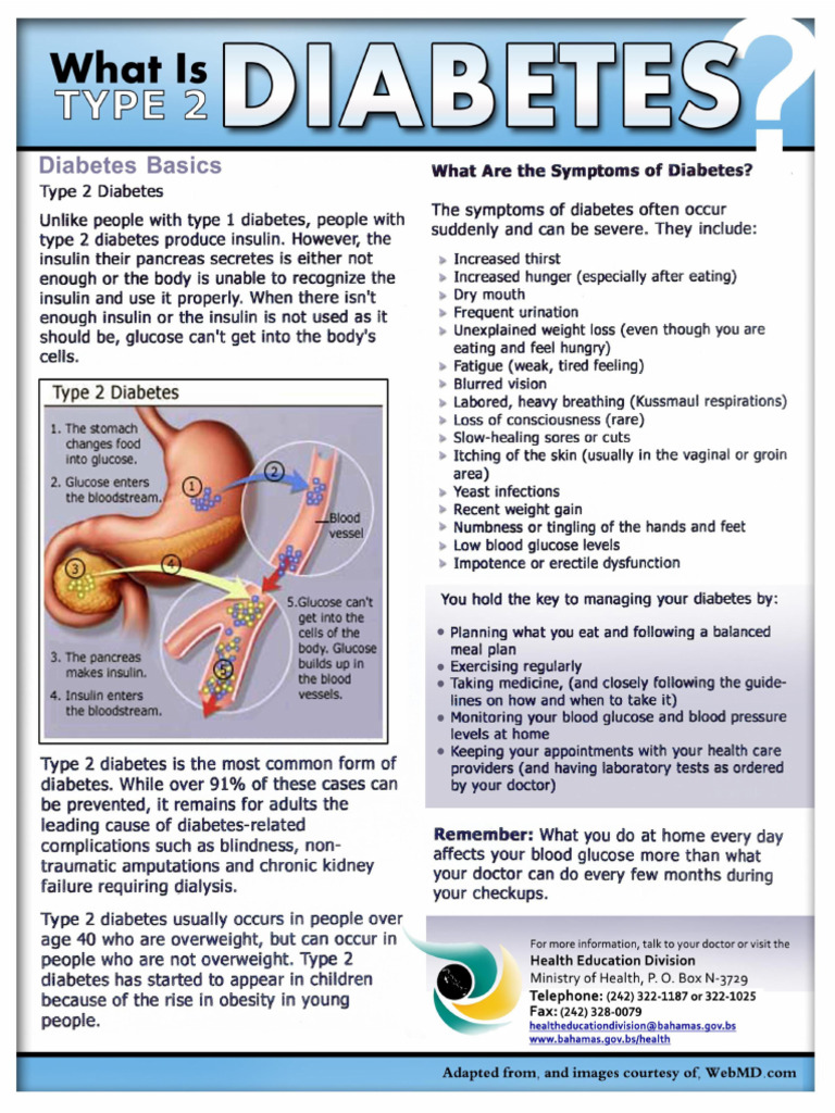 Understanding Type 2 Diabetes Basics | PDF | Diabetes Mellitus | Diabetes