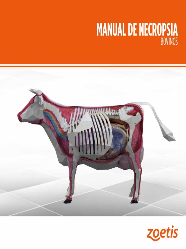 Manual de Necropsia em Bovinos PDF | PDF | Fixação (Histologia ...