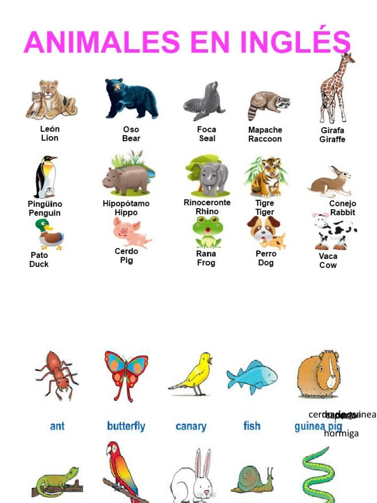 Animales en Ingles