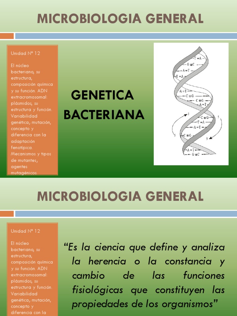 12° Teoria Micro Gral. | PDF | Mutación | Plásmido