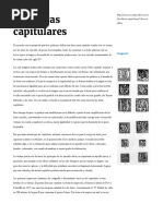 Cartel Clasificacion Tipografica Vox-AtypI | PDF | Serif | Diseño de ...