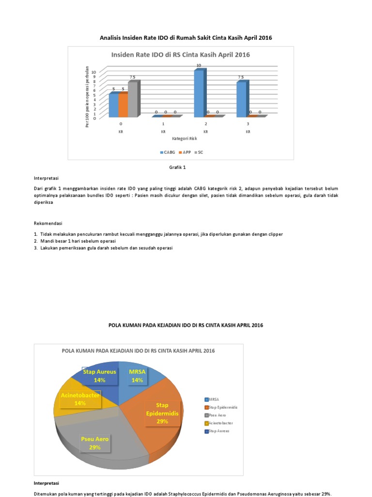 Contoh Laporan IDO | PDF