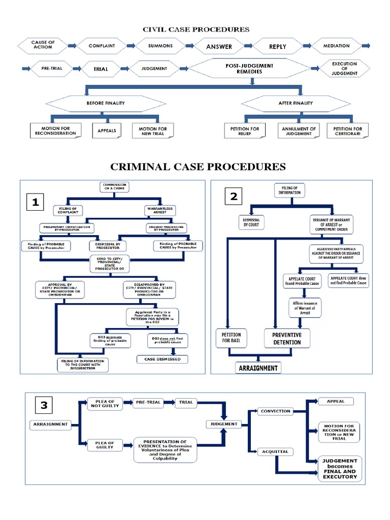 Criminal Case Procedures Overview | PDF