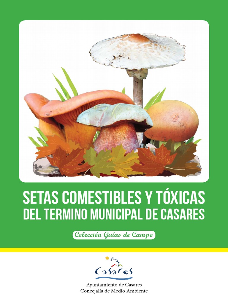 Guia de Setas | PDF | Hongo | Tipos de hongos