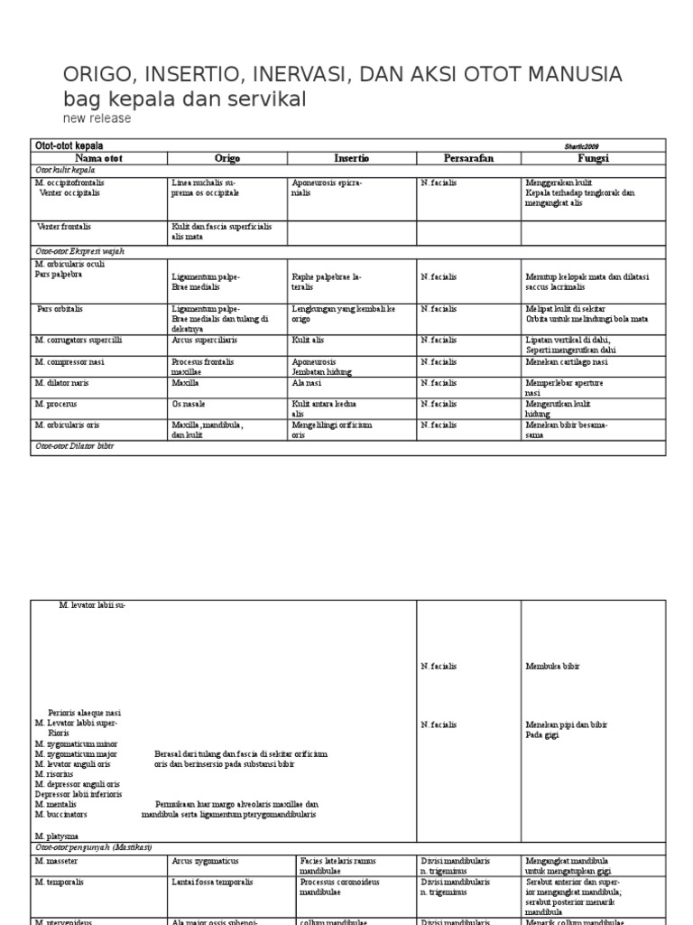 Origo dan Insertio Otot Manusia | PDF | Kajian Bahasa Asing