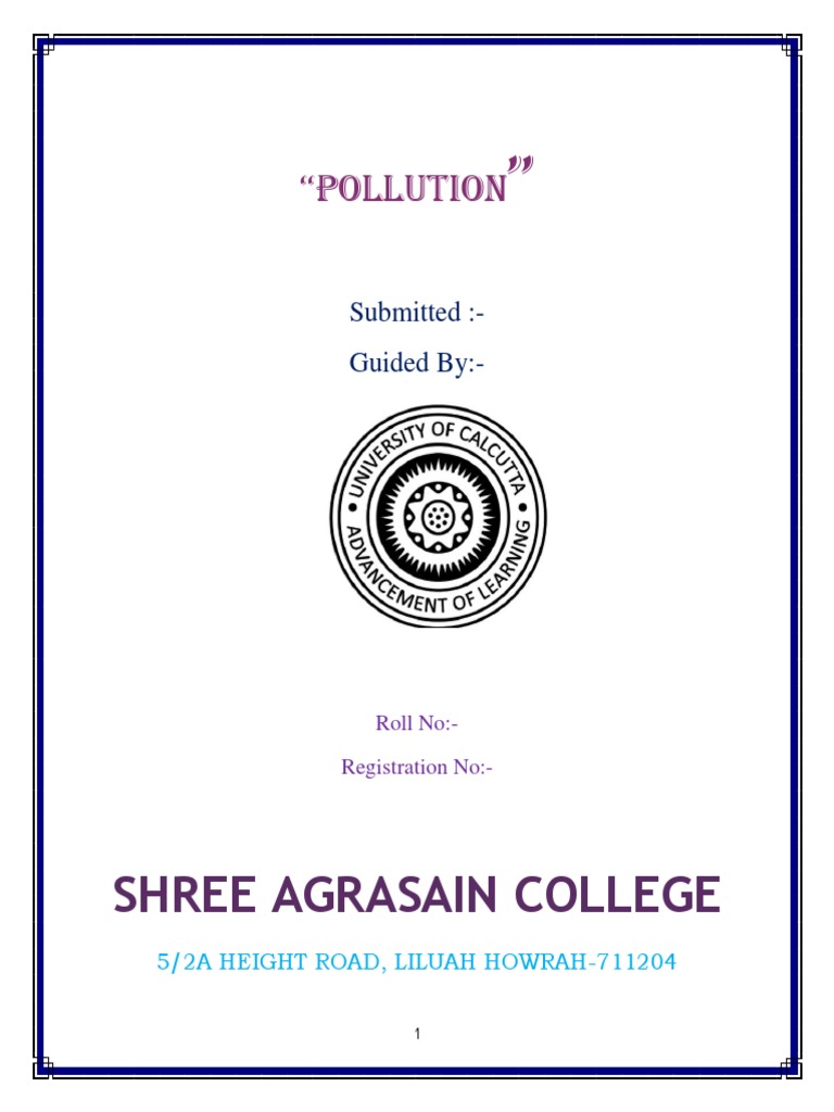 Project On Pollution | PDF | Environmental Degradation | Pollution