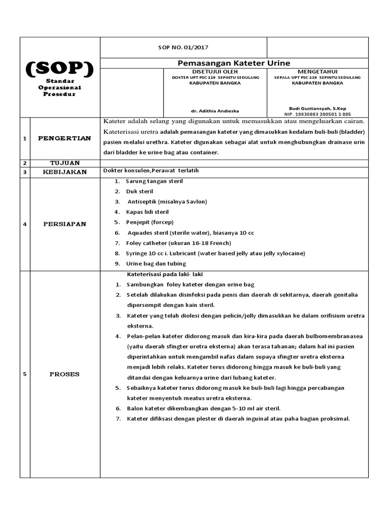 SOP Pemasangan Kateter | PDF