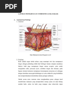LP Combustio Grade II | PDF | Kesehatan Holistik | Teknologi & Rekayasa