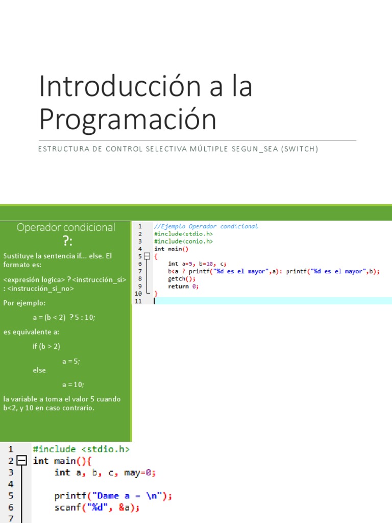 Estructura Switch en Programación | PDF | Programa de computadora ...