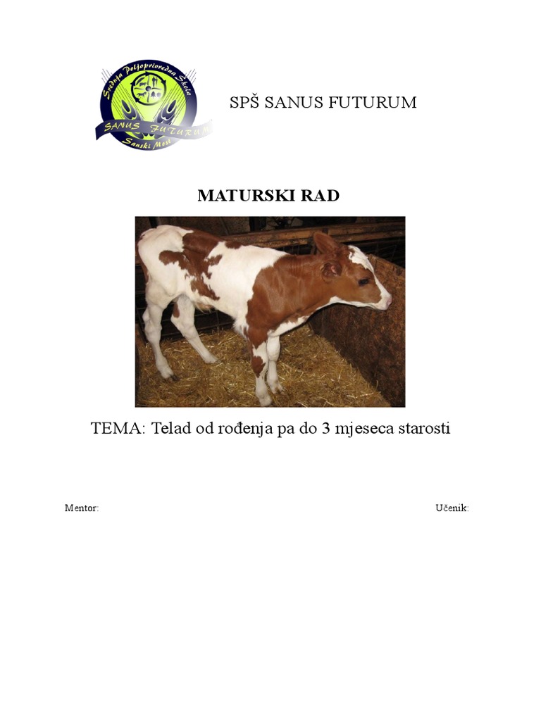 Matur Ski | PDF