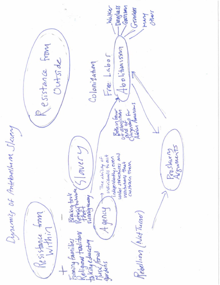 dynamics of antebellum slavery mind map