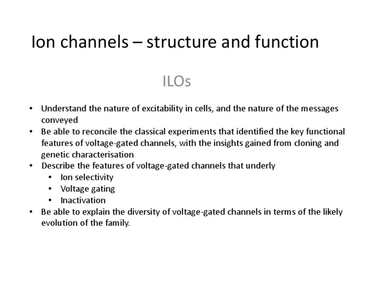 Ion Channels: Structure & Function | PDF | Ion Channel | Electrophysiology