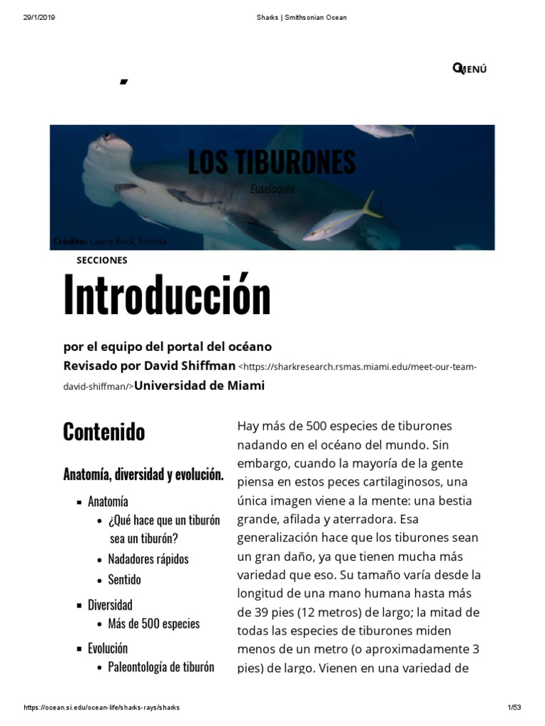 Sharks - Smithsonian Ocean | PDF | Tiburones | Ojo