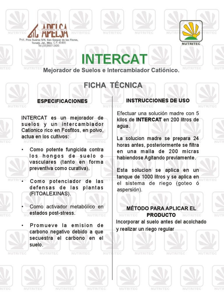 Ficha Tecnica Intercat | PDF