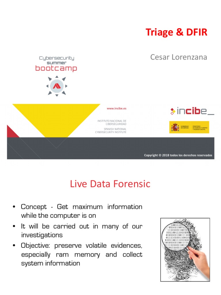 Triage - Live Data Forensics | PDF