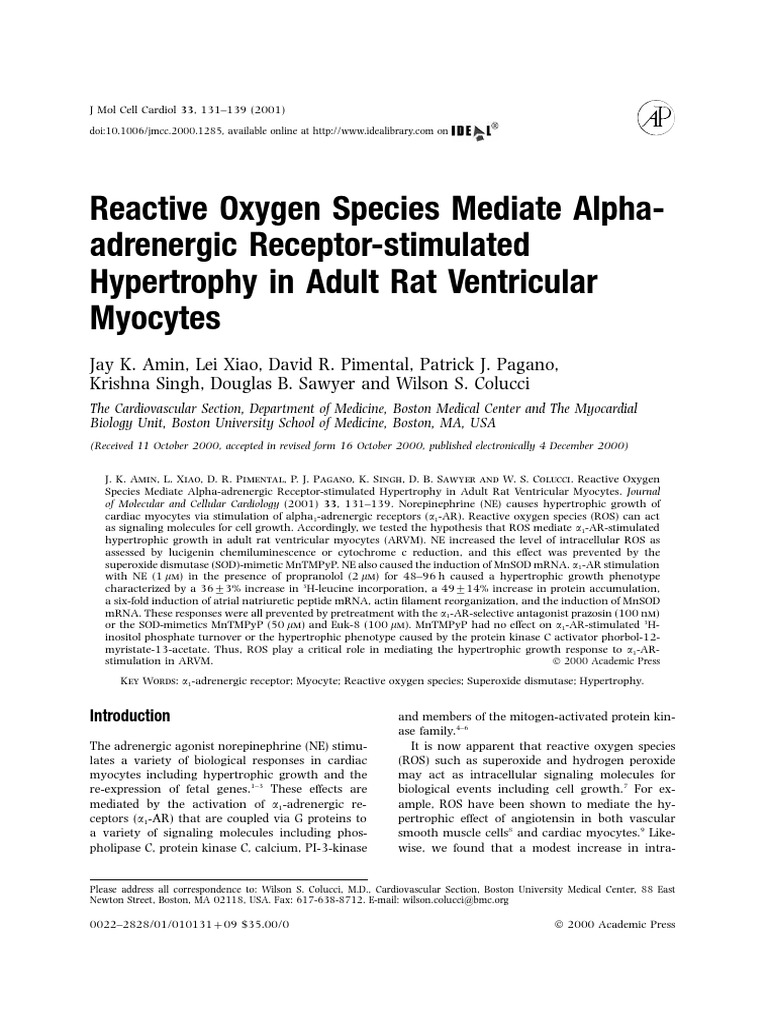 Amin Et Al. - 2001 - Reactive Oxygen Species Mediate Alpha-Adrenergic ...